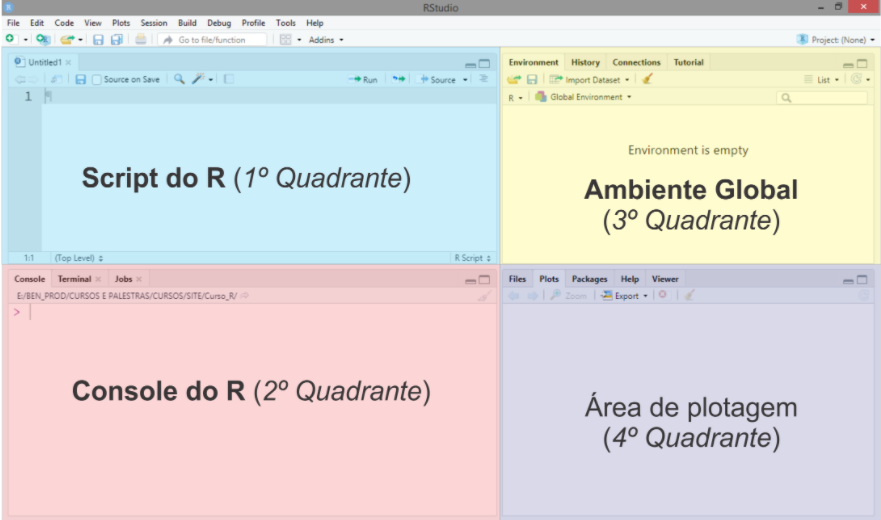 Capítulo 3 Como o R trabalha? | R básico